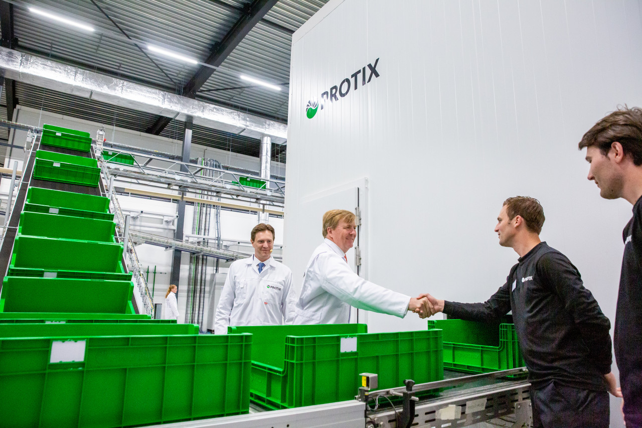 Insect producer Protix attracts €15.5M to prepare for international ...
