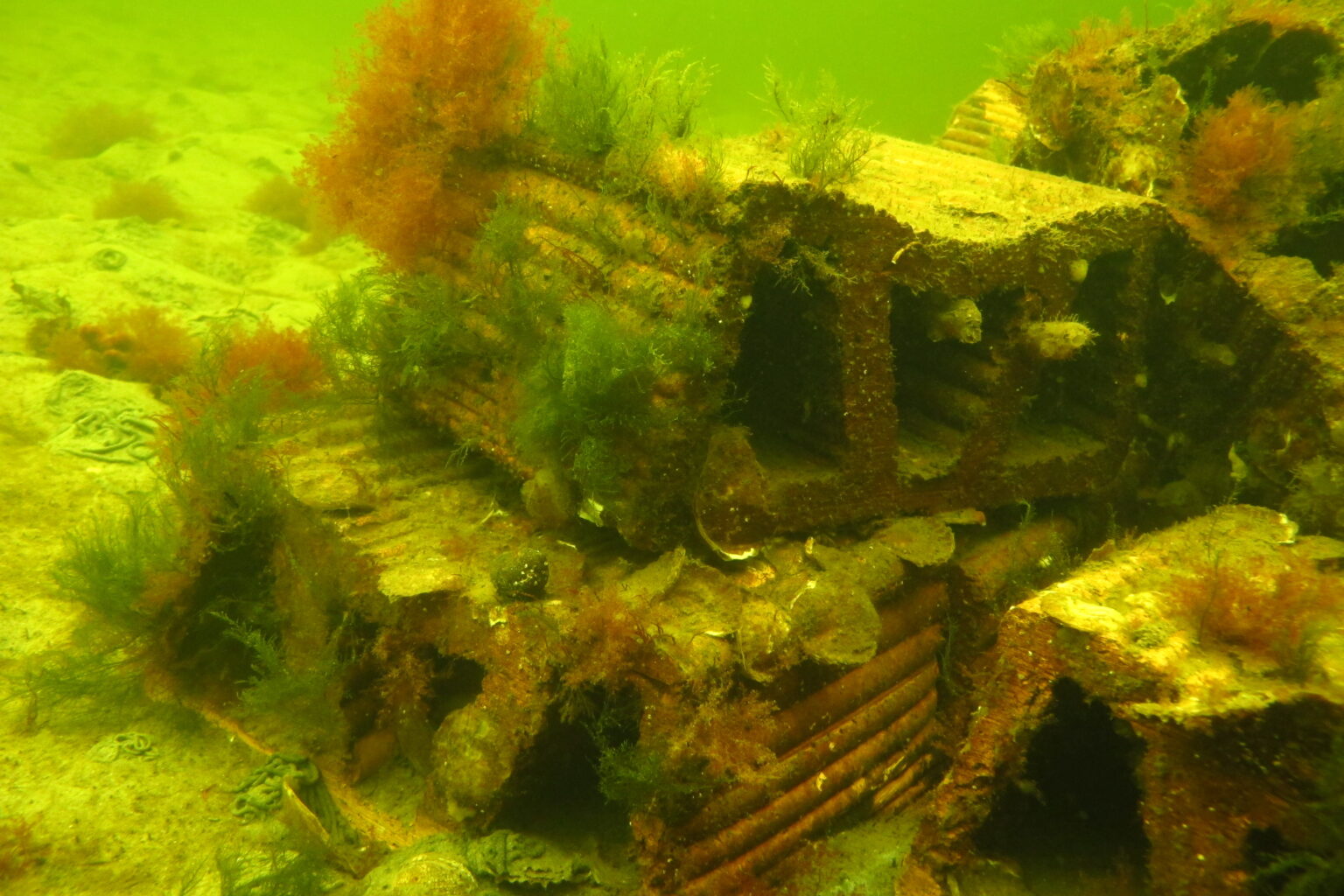 IFU changes name to Impact Fund Denmark, doubles capital | Impact Investor